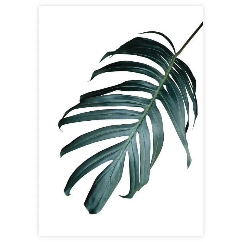 Poster Leht 50x70 cm - Aatrium